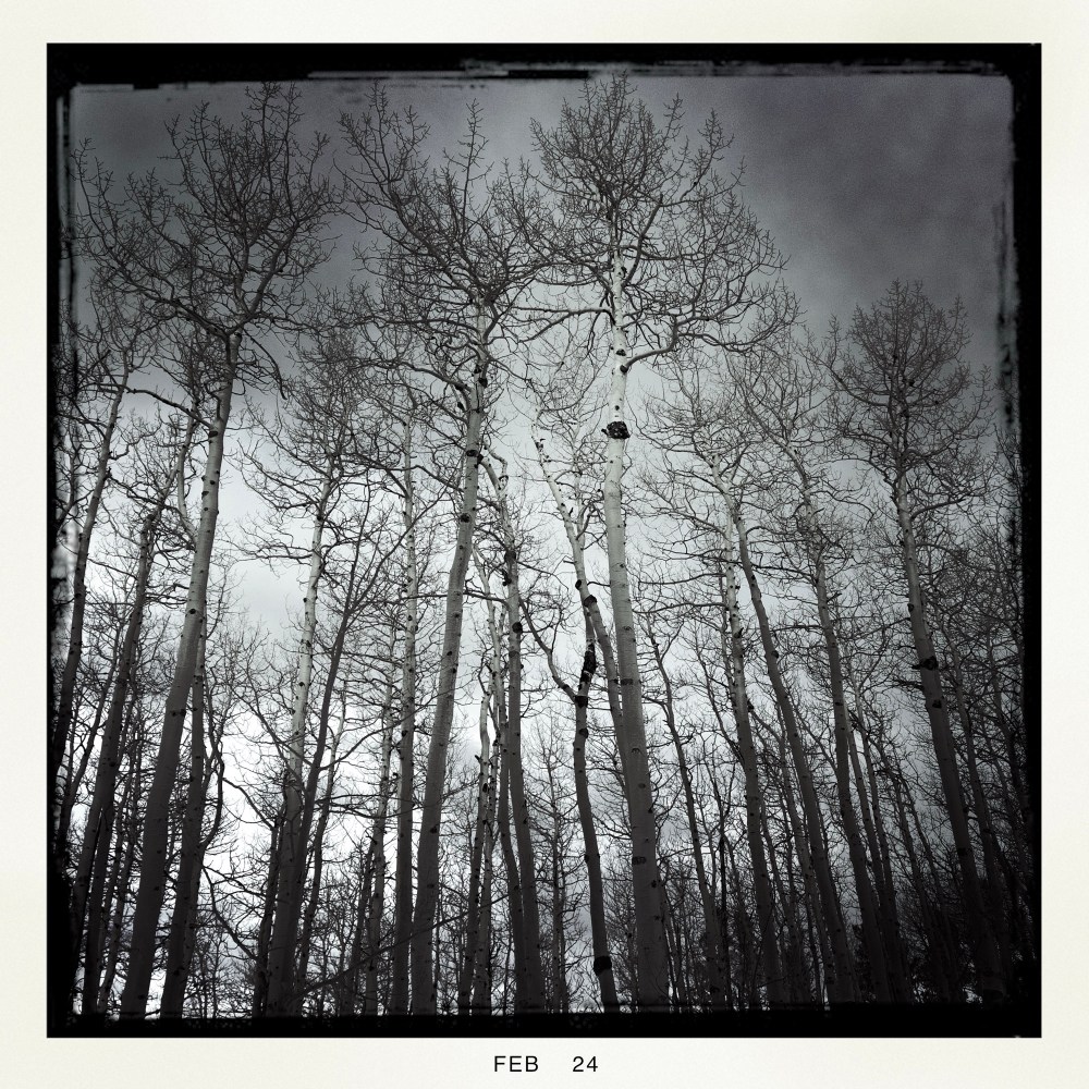 Snapshots For Sore Eyes