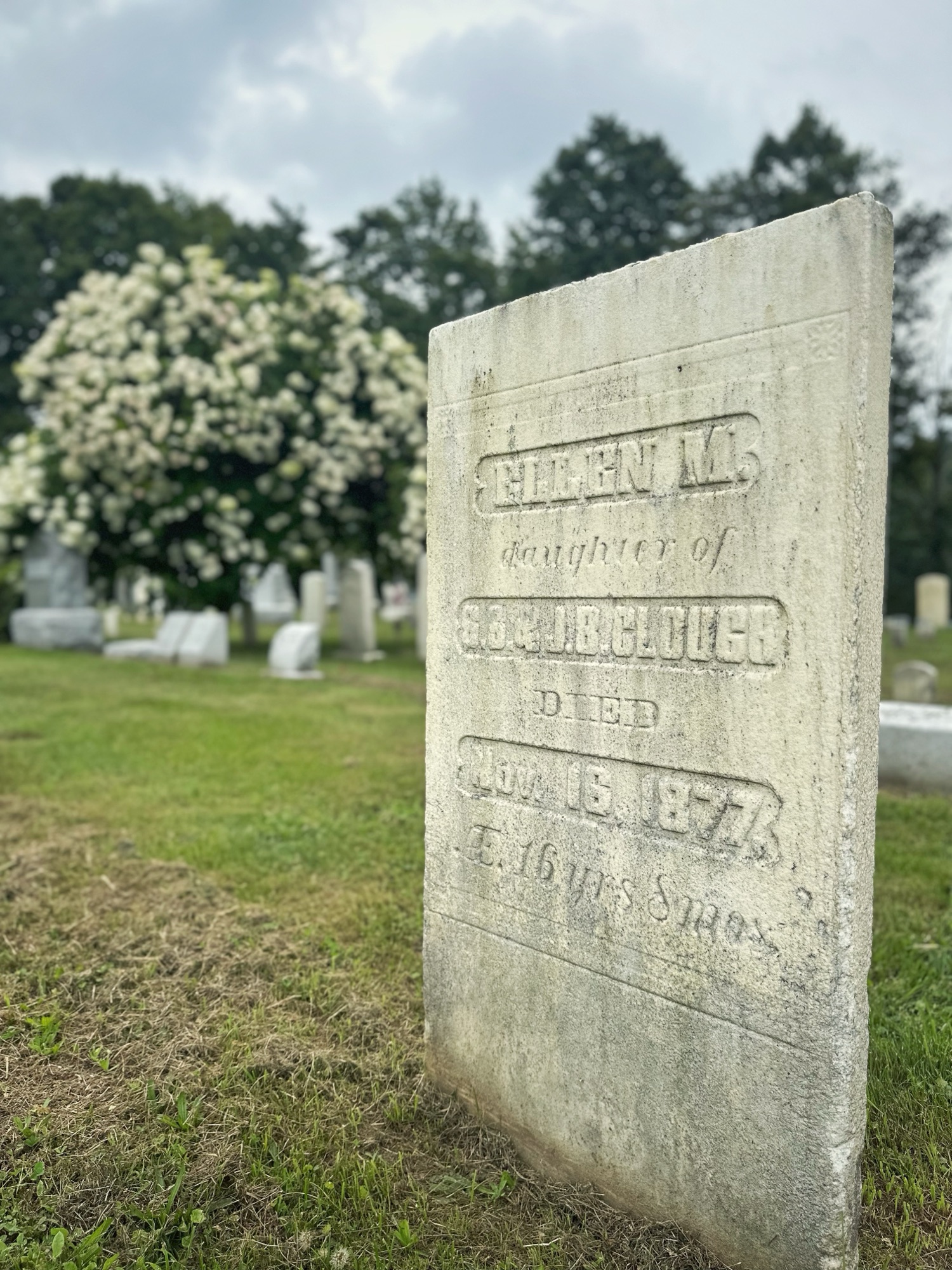 Snapshots For Sore Eyes