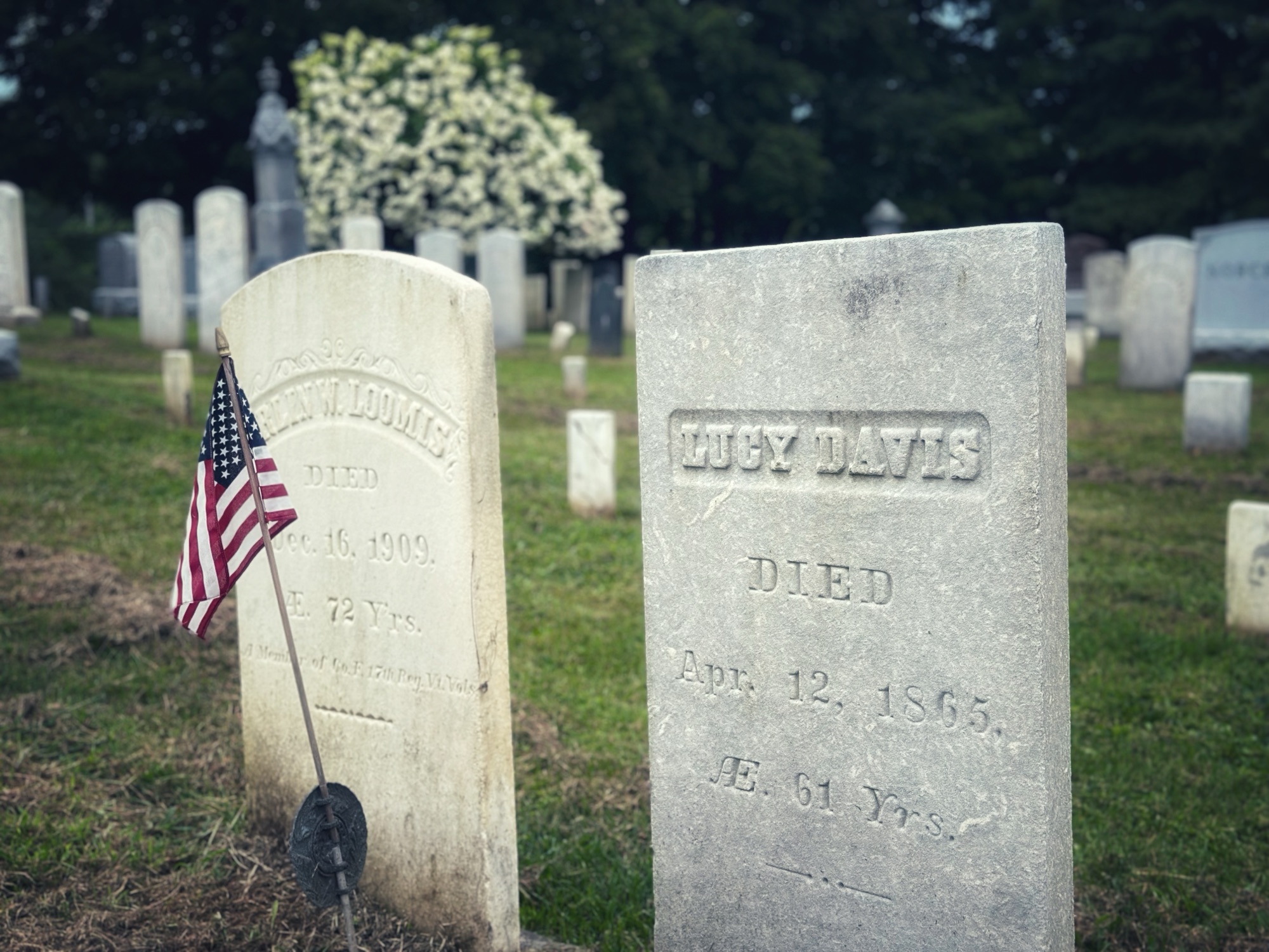 Snapshots For Sore Eyes